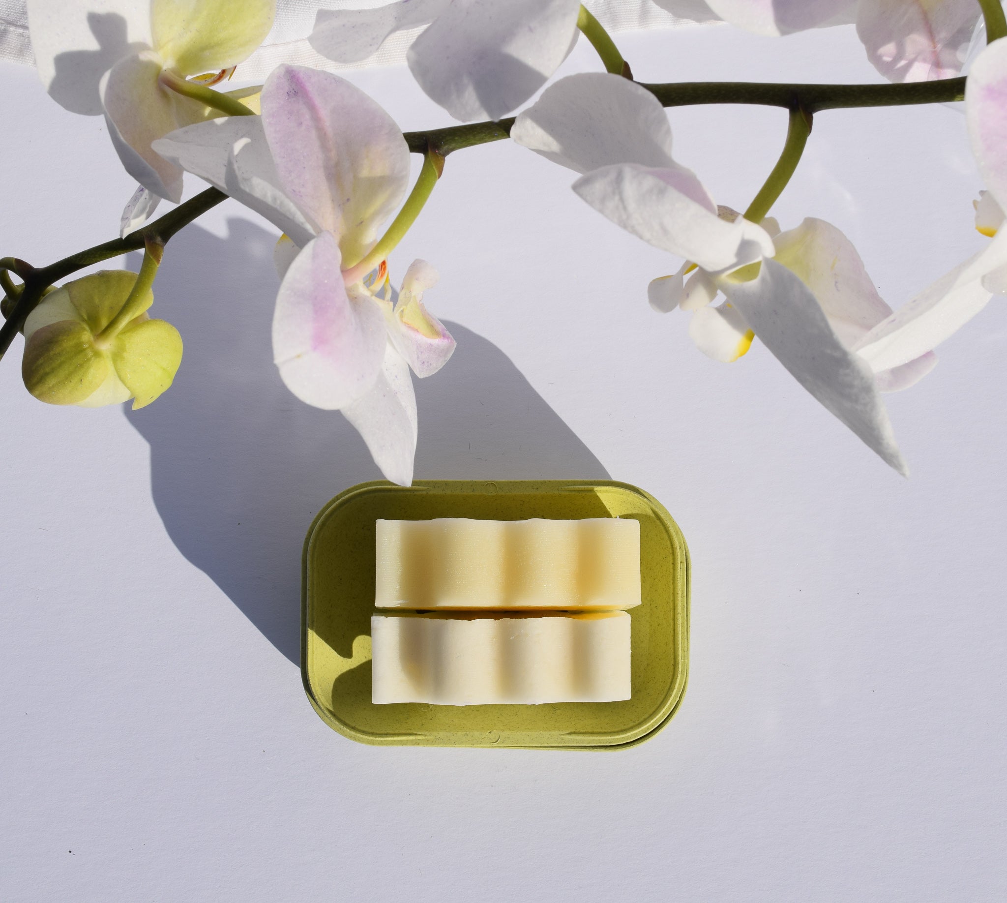 Biodegradable Soap Case – Flora Flora Co