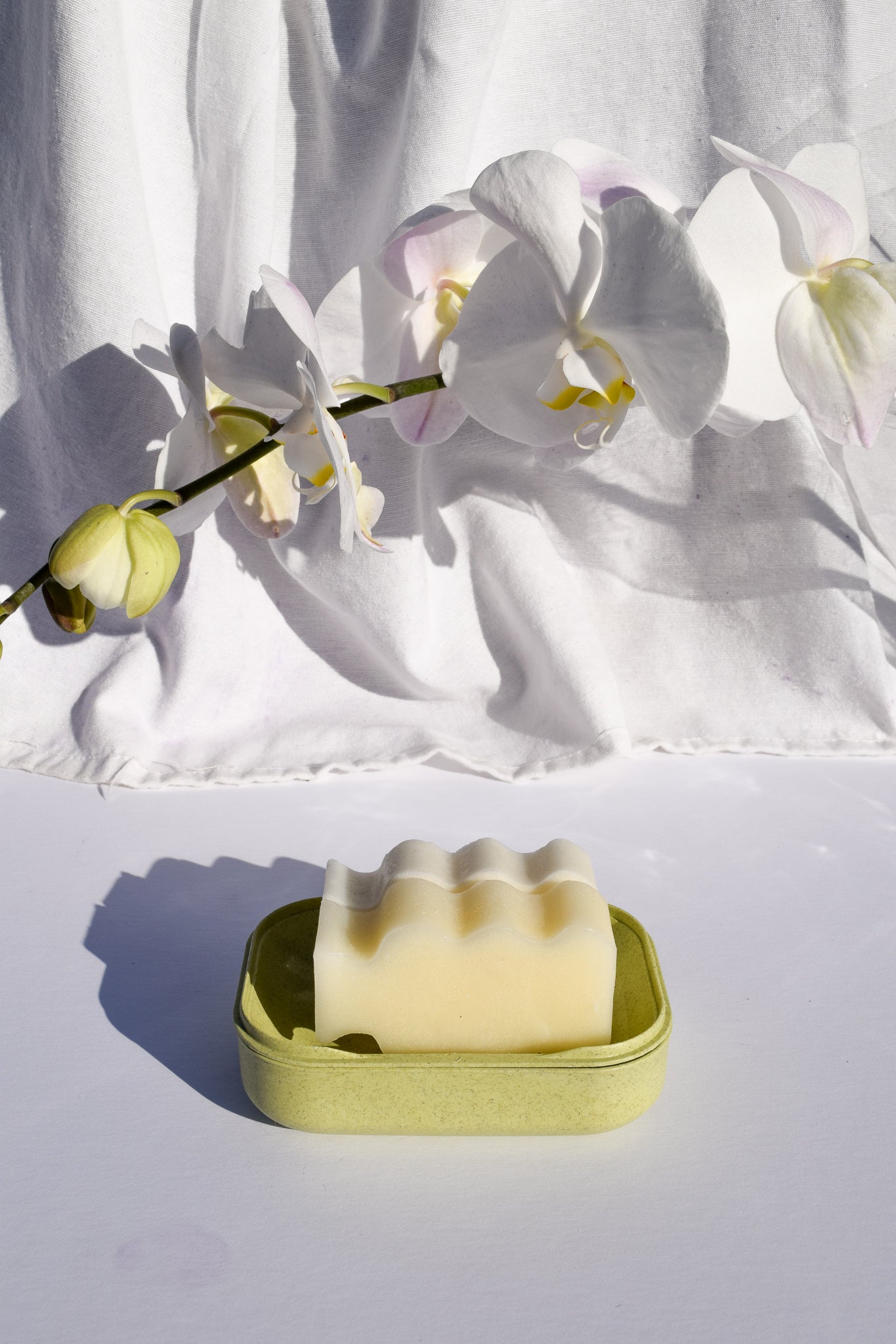 Biodegradable Soap Case – Flora Flora Co